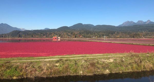 Cranberry Trail - Let's Go Biking!Let's Go Biking!