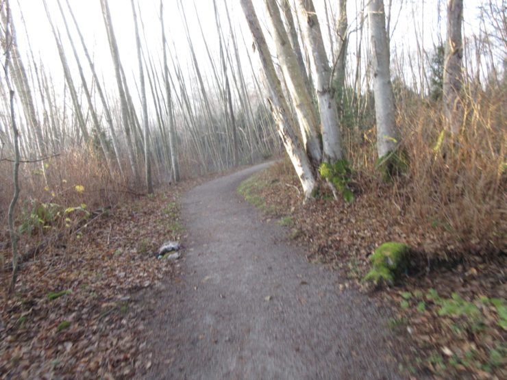 South Surrey Trails - Let's Go Biking!Let's Go Biking!